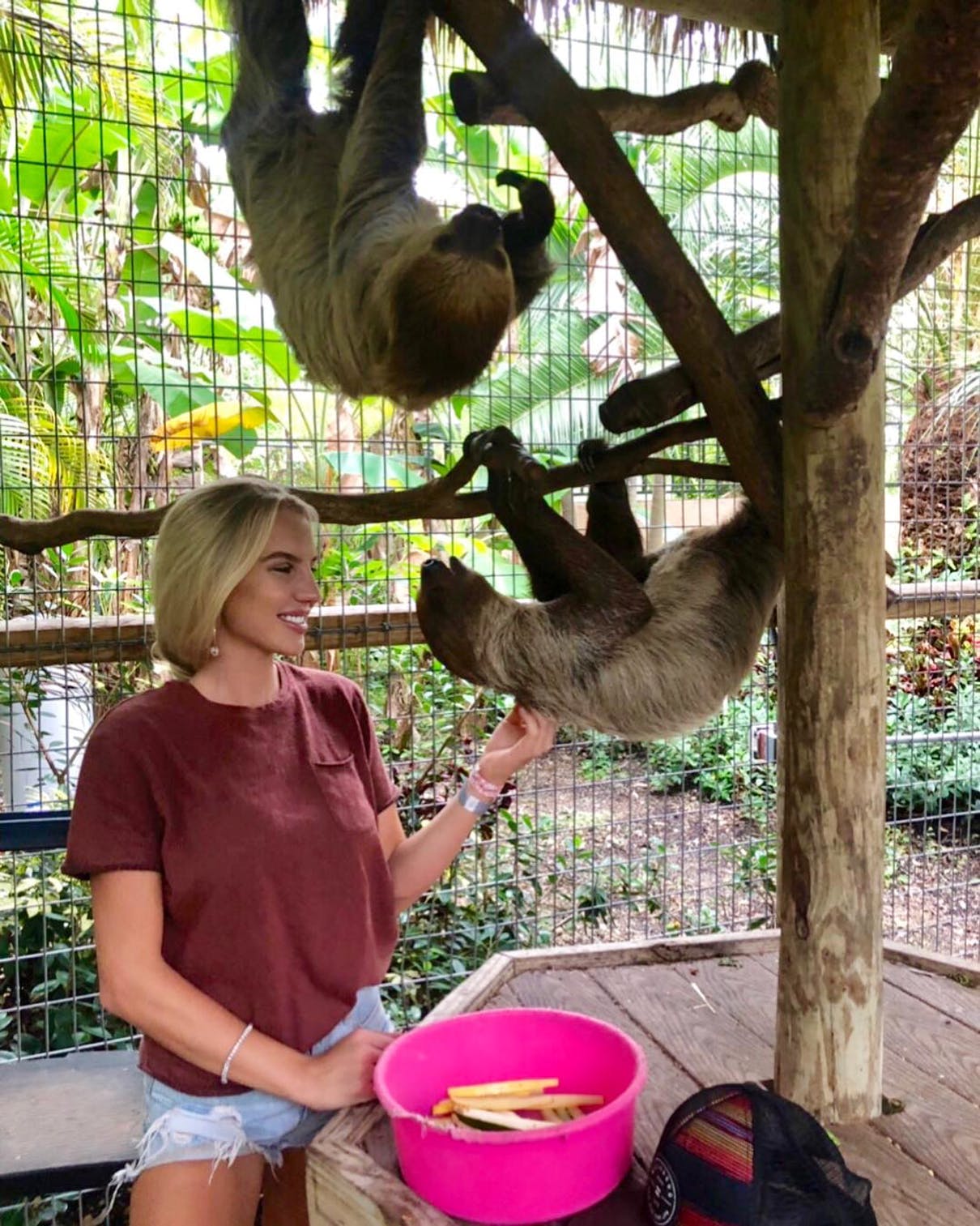 Catherine Agro - The Bachelor - Reality TV World