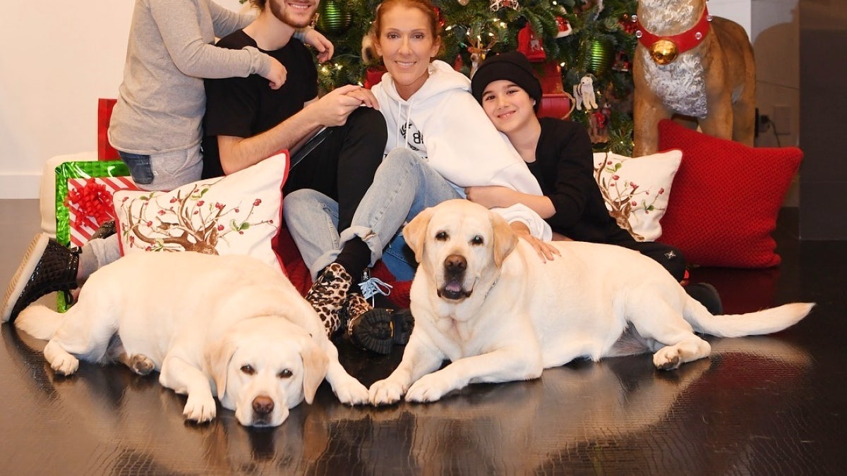 Celine Dion Family Tree