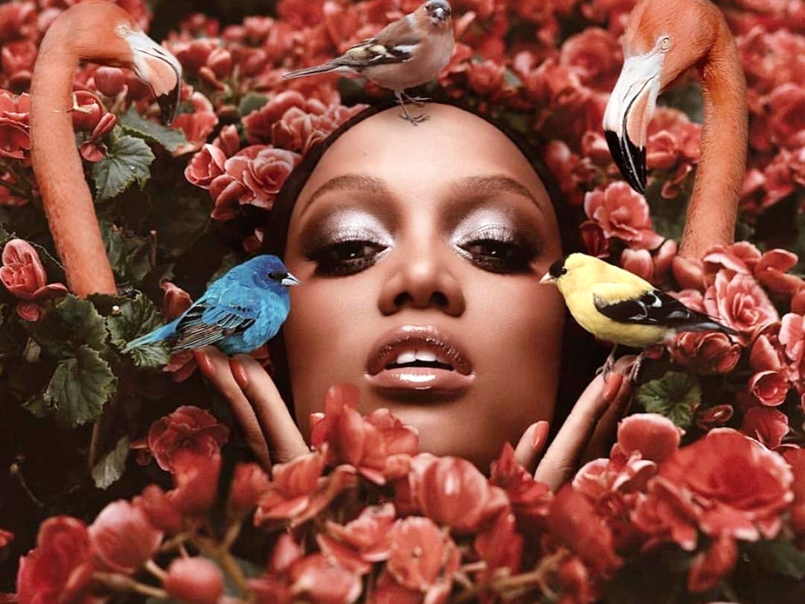 Tyra Banks opening 'Modelland' theme park in California - Reality TV World