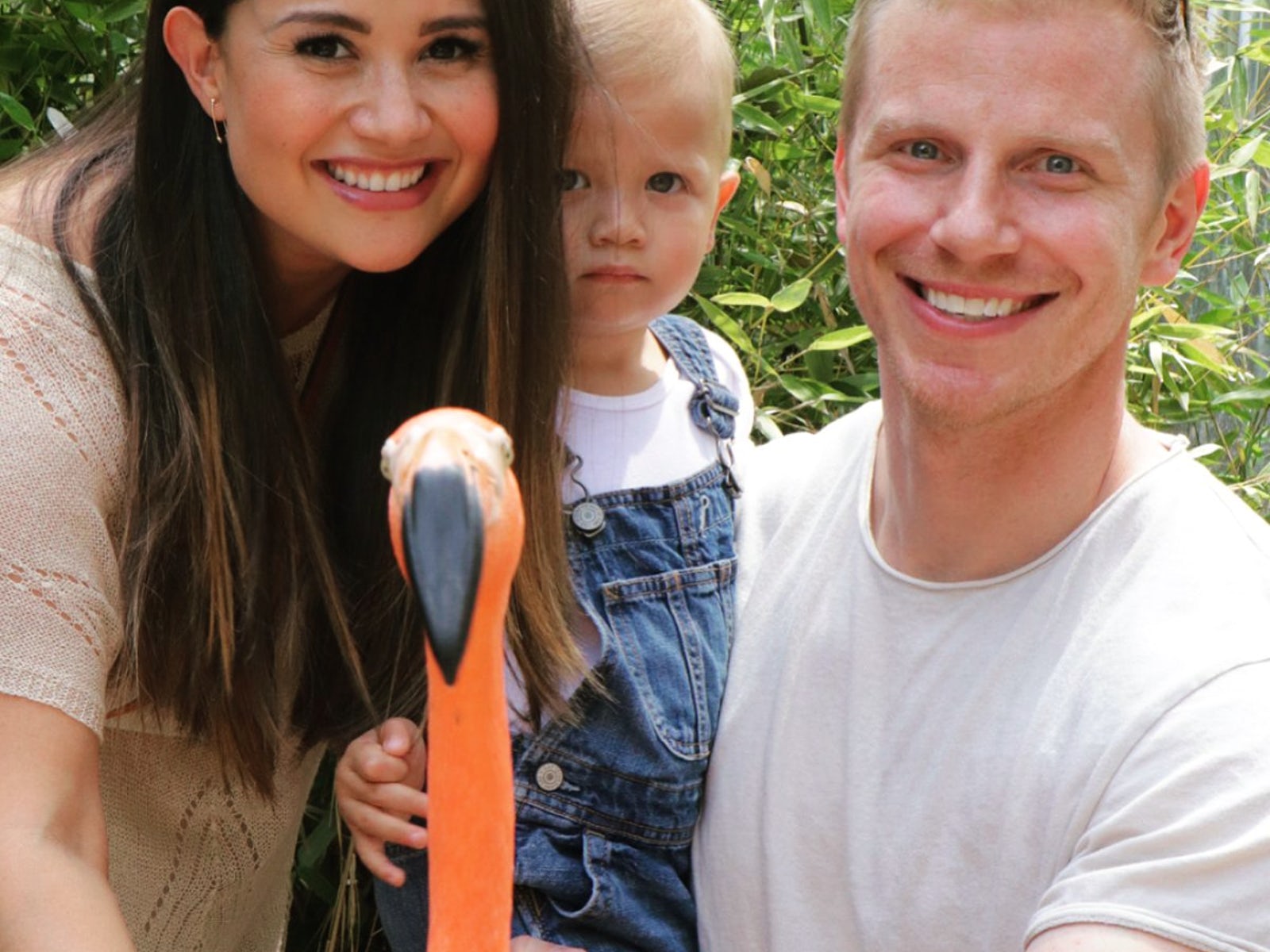 'The Bachelor' couple Sean Lowe and Catherine Giudici welcome another ...